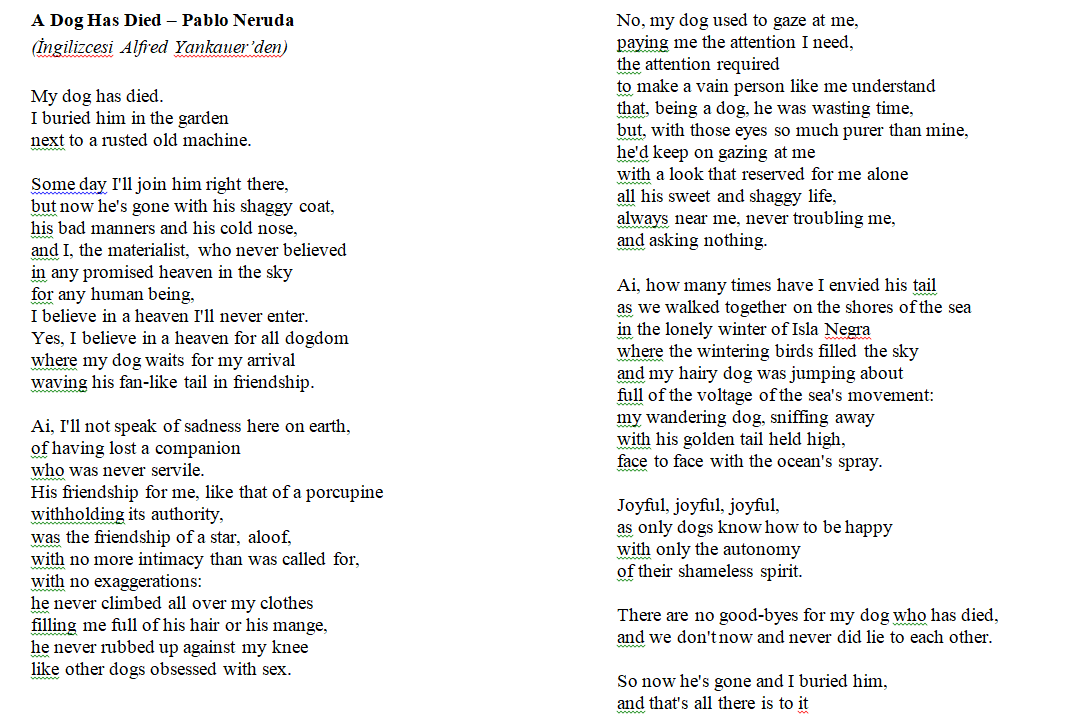 Bir Köpek Öldü (Un perro ha muerto) – Pablo Neruda – wanderlustpress